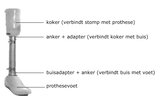 Relevantie van het project | Ticoon